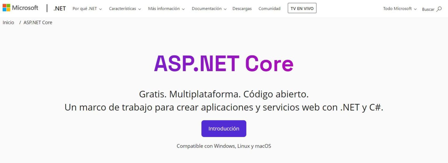 Los 10 frameworks backend imprescindibles