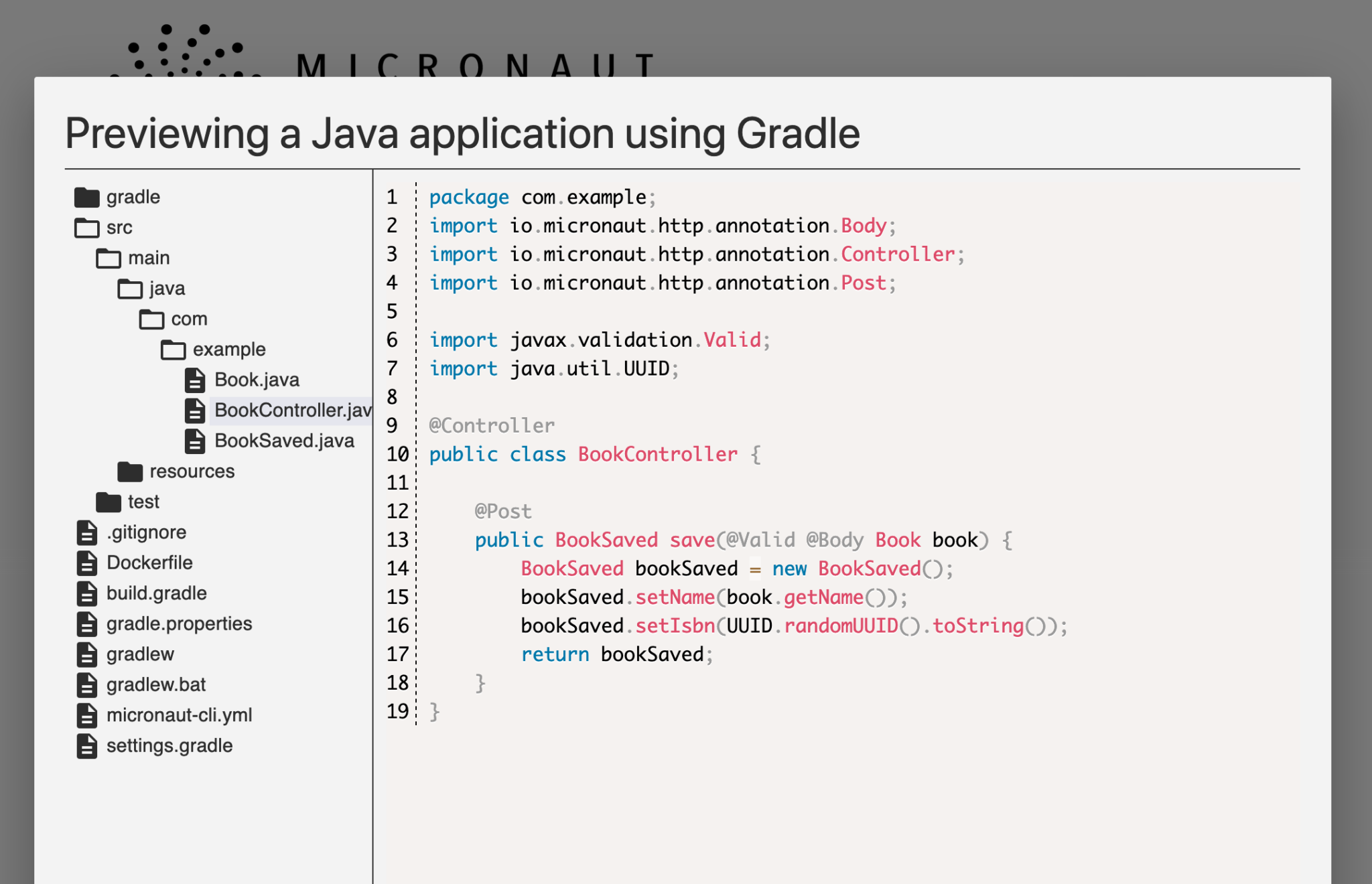 Profile Colabora En El Desarrollo De Micronaut Launch