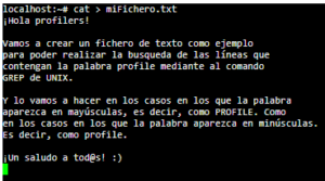 Qué son y cómo usar expresiones regulares RegEx - Profile Software Services