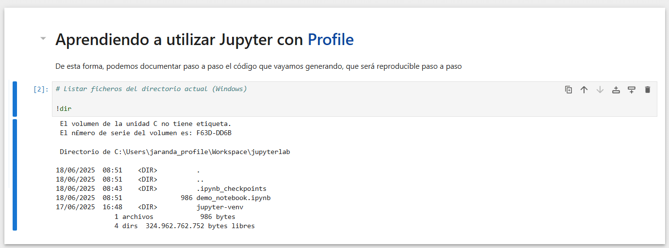JupyterLab desde cero con Python - Profile Software Services