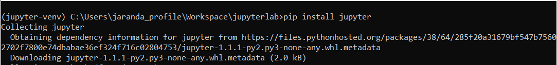 JupyterLab desde cero con Python - Profile Software Services
